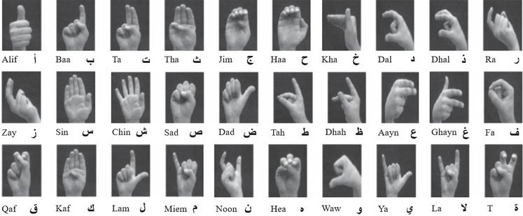 What Each Gesture Means